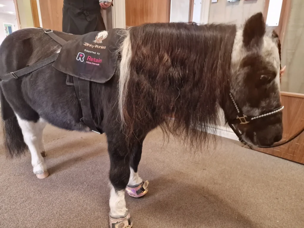 Dinky Ponies Delights - Berkley Care Homes